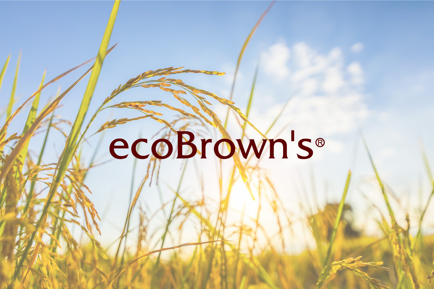 ecoBrown's Social Media - TigerWolves